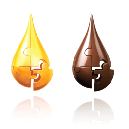 Product information | Fuji Oil Europe